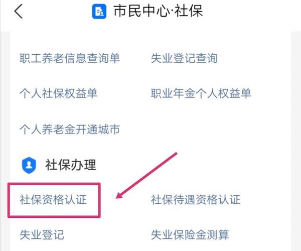 60岁养老金怎么认证图标