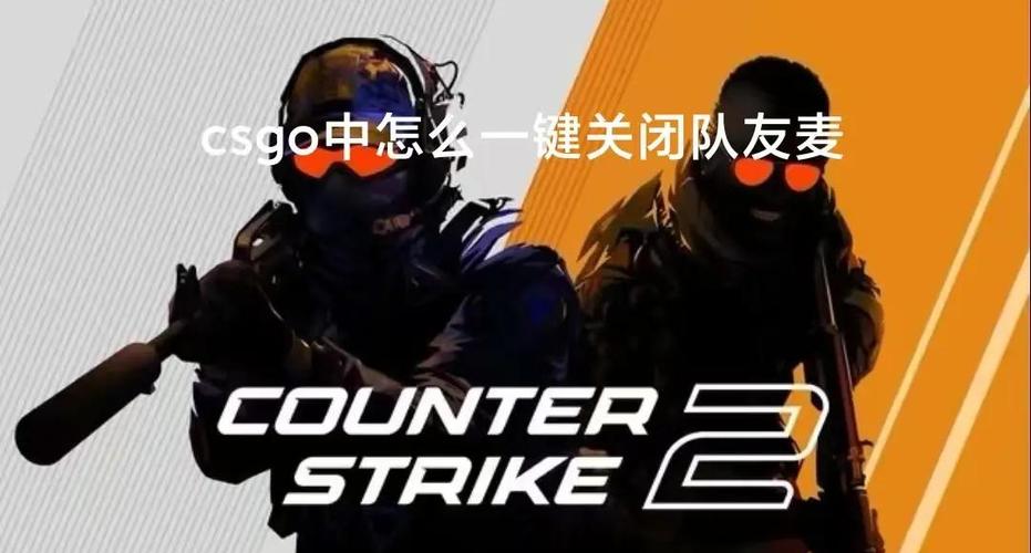 csgo怎么屏蔽队友说话图标