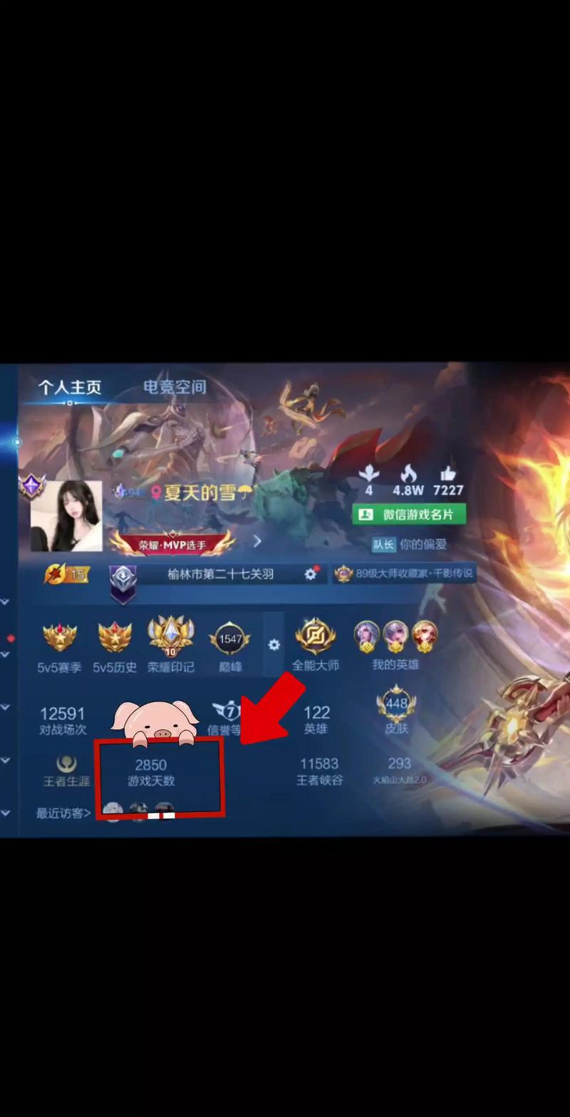 王者荣耀上架多少天了图标