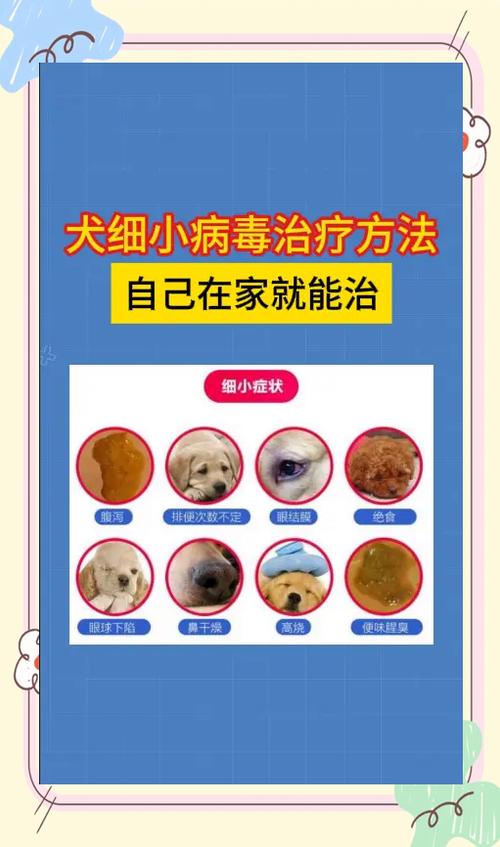 狗有细小病毒怎么治愈图标