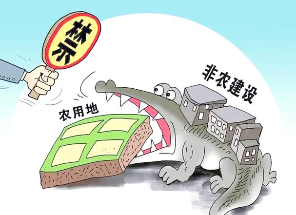 非法占用公共场地截图