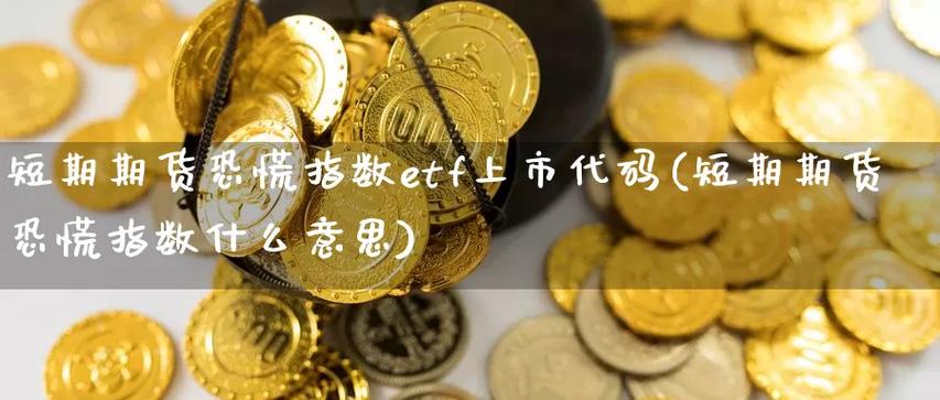 短期恐慌指数ETF图标