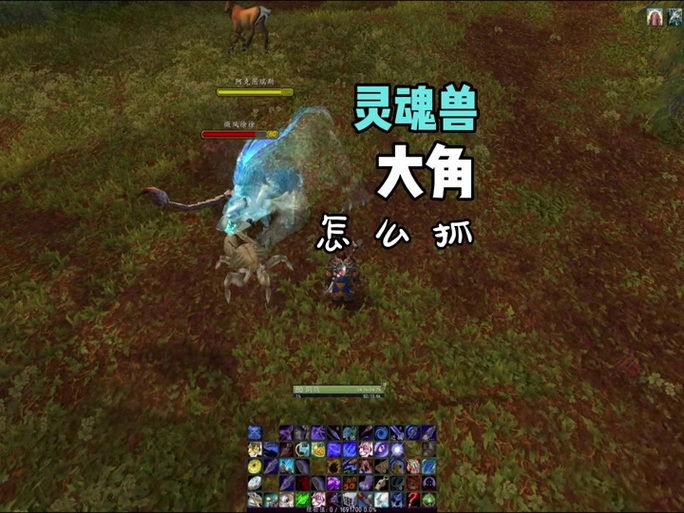 灵魂兽可以抓两只一样的吗图标