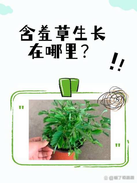 20种常见植物生长环境缩略图