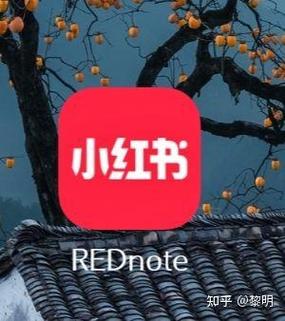 海外版小红书怎么下载截图