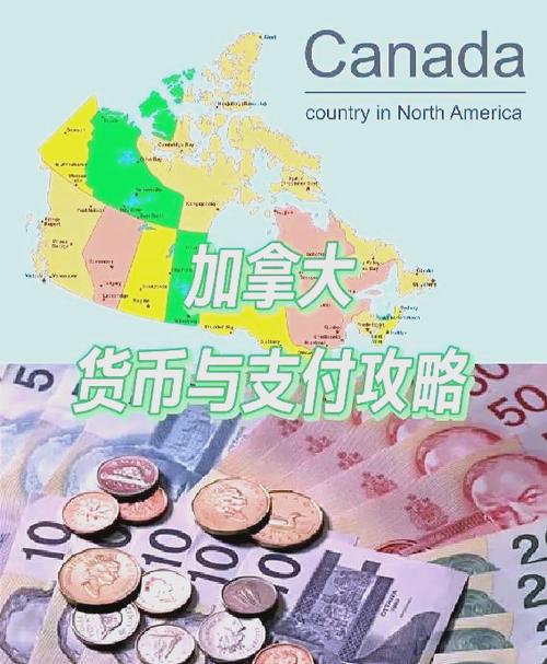 加元兑换人民币汇率图标