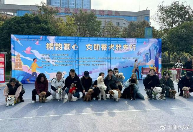 惩罚猫打哪里比较好截图