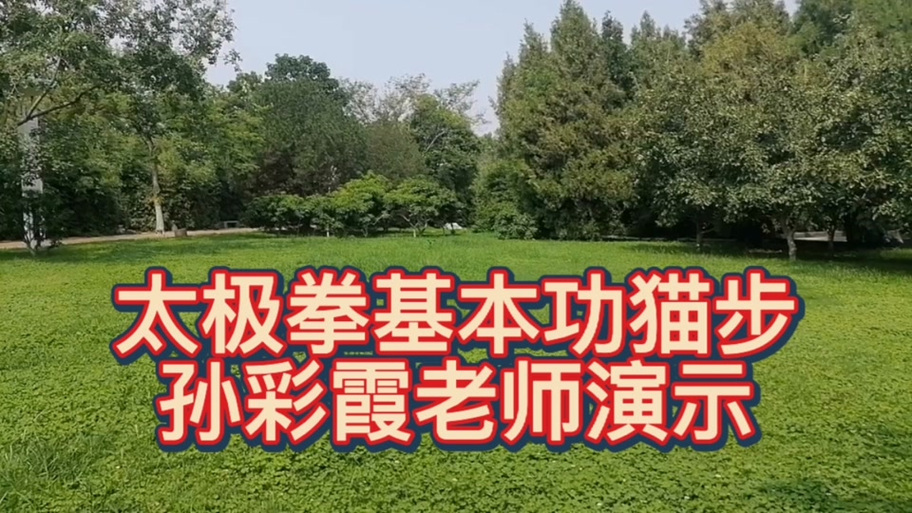 猫步太极步法详解图标