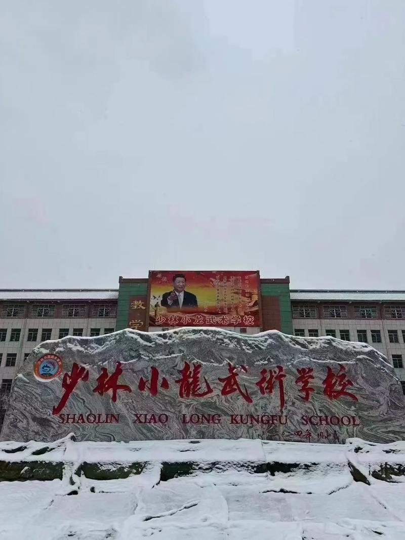 嵩山少林小龙武校图标