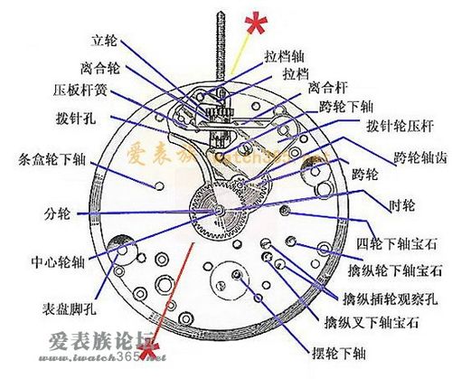 电子手表调针杆拆卸
