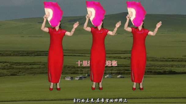 希望的田野扇子舞讲解视频截图