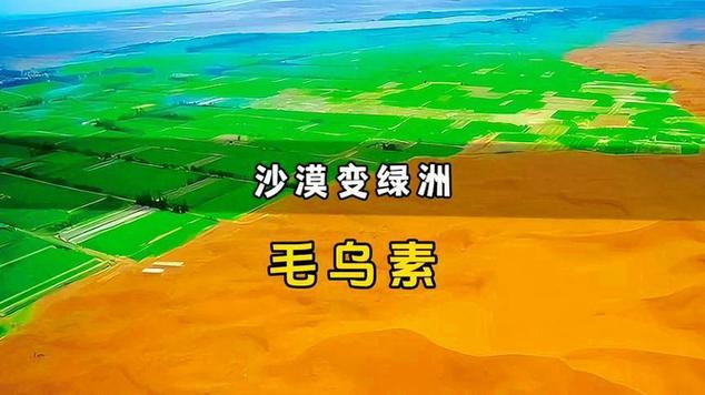 沙漠治理视频纪录片图标