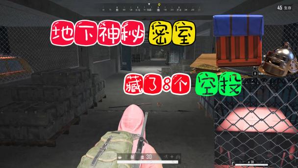 小雷吃鸡工作室图标