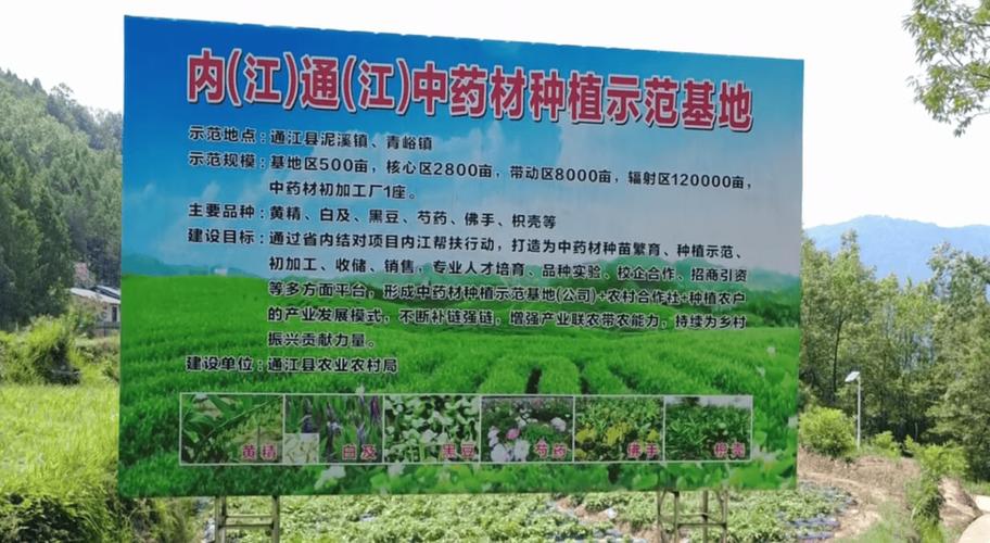 免费中药材种植合作图标