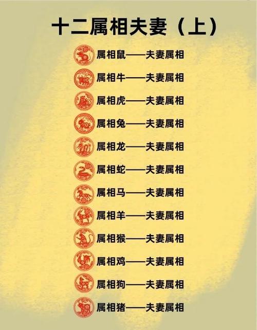 大鹏鸟最忌三种属相图标
