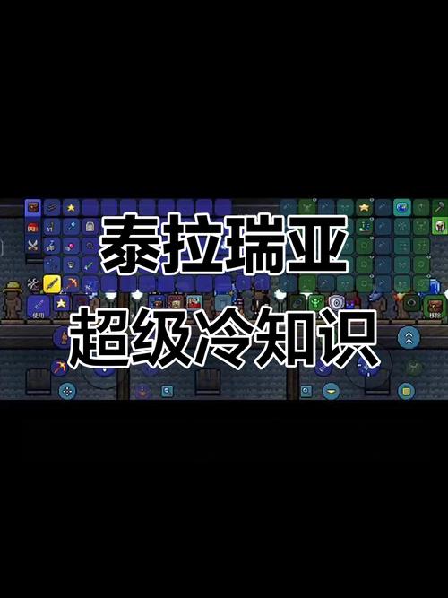 泰拉瑞亚黑色染料哪里有卖的