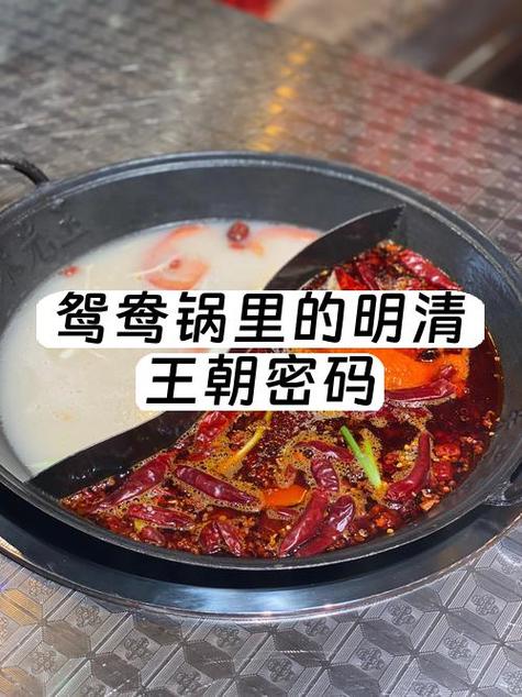 鸳鸯锅为啥叫阴阳锅图标
