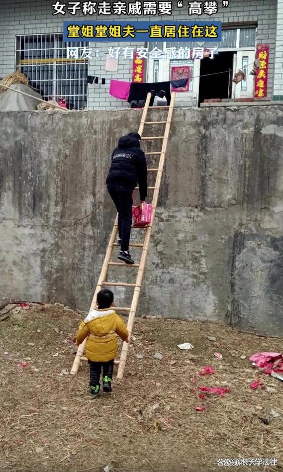 爬梯子犯法吗缩略图