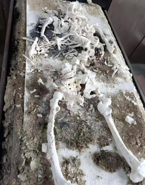 火化后骨灰可以撒到河里吗图标