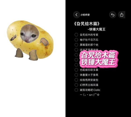 帮我打开安装包图标