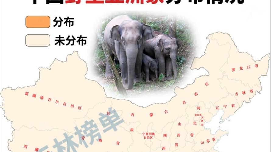 我国野生大象数量图标