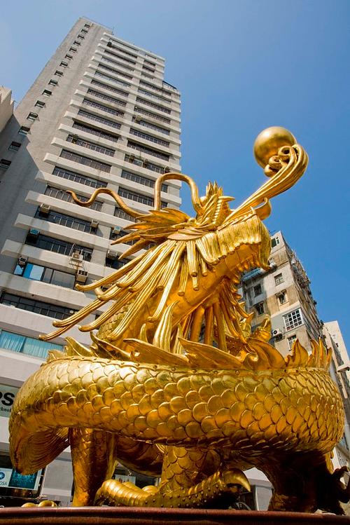 香港金龙生物科技图标
