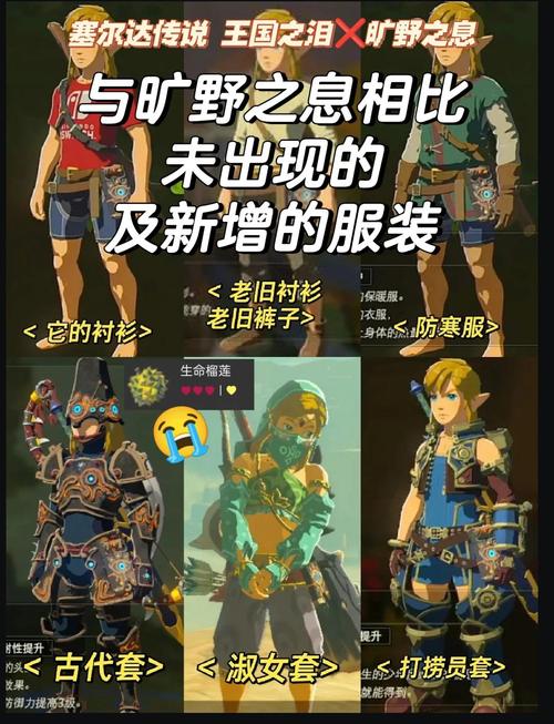 塞尔达衣服裤子右下角的数字图标