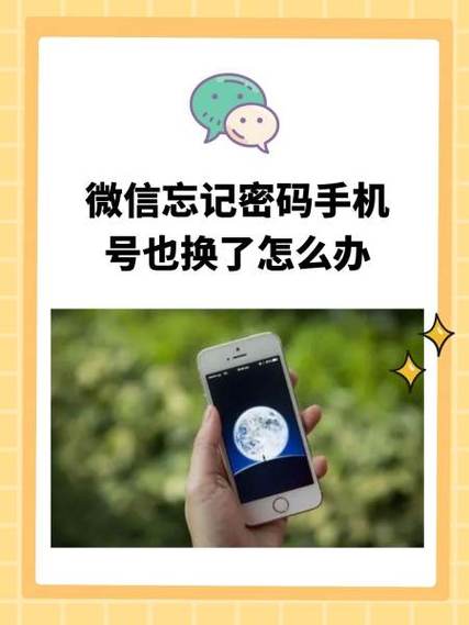 扣扣号忘记密码,手机号也换了咋办截图