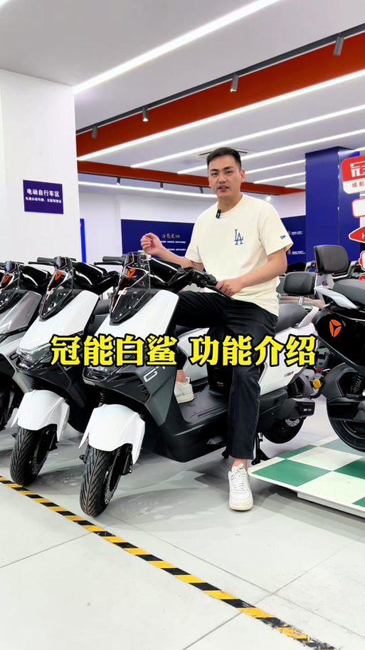 雅迪白鲨H没有遥控器吗?图标