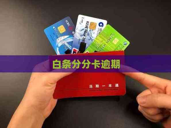 白条分分卡是什么银行图标