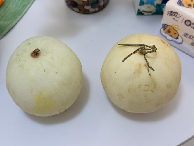 种树领水果