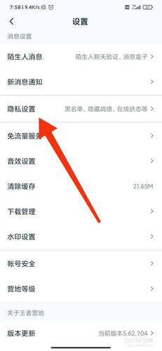 王者营地关掉在线状态截图