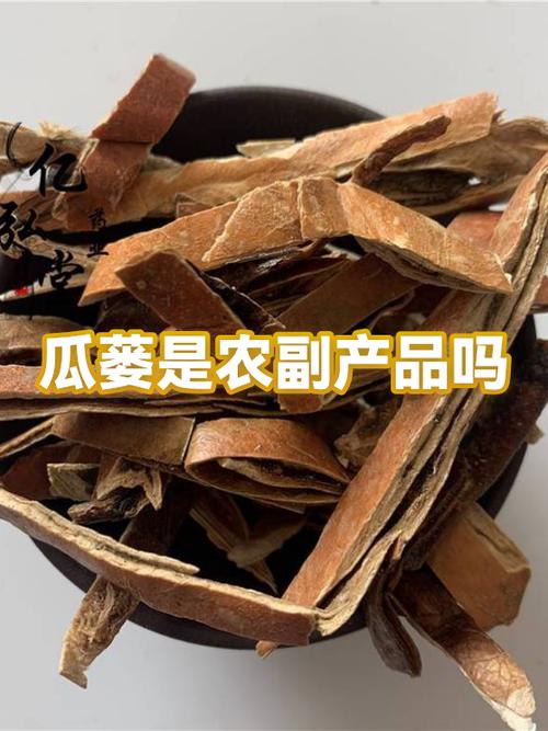 黄连半夏瓜蒌的功效