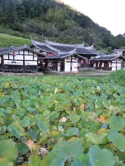 福书村图标