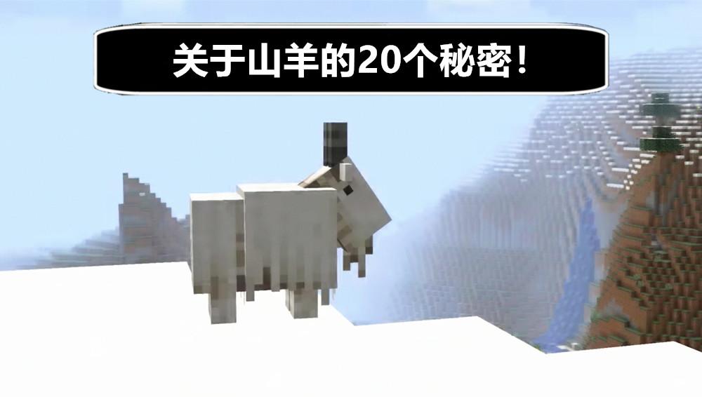 我的世界羊会攻击人吗截图