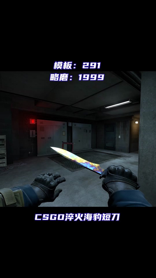 csgo怎么一直检视刀图标