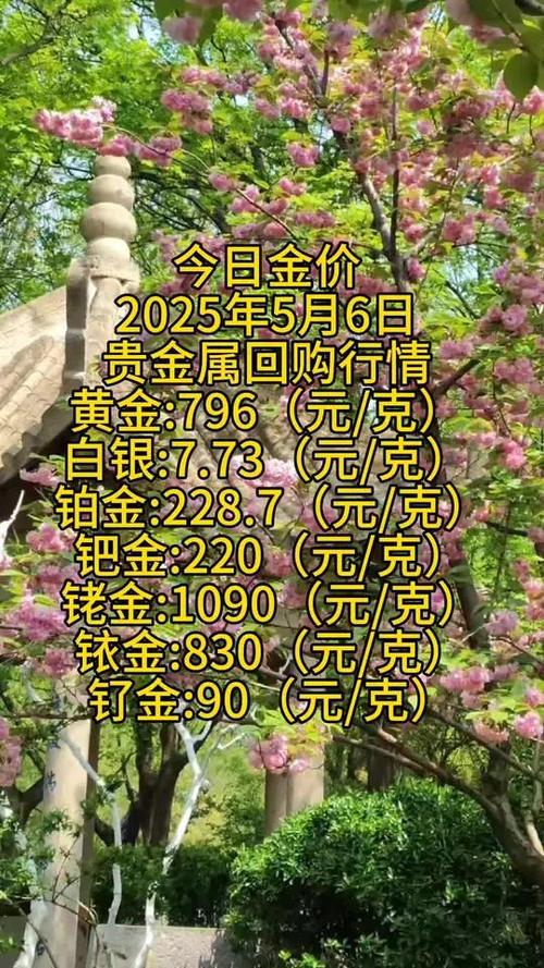铑金价格截图