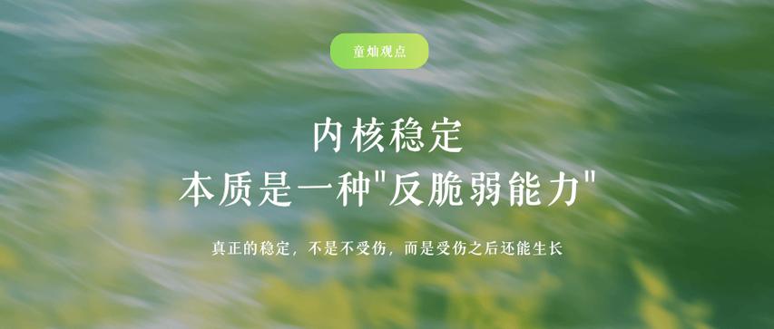 稳定内核图标