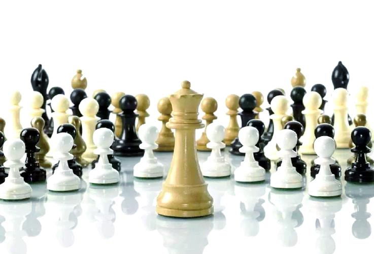 国际象棋运动健将是什么等级截图