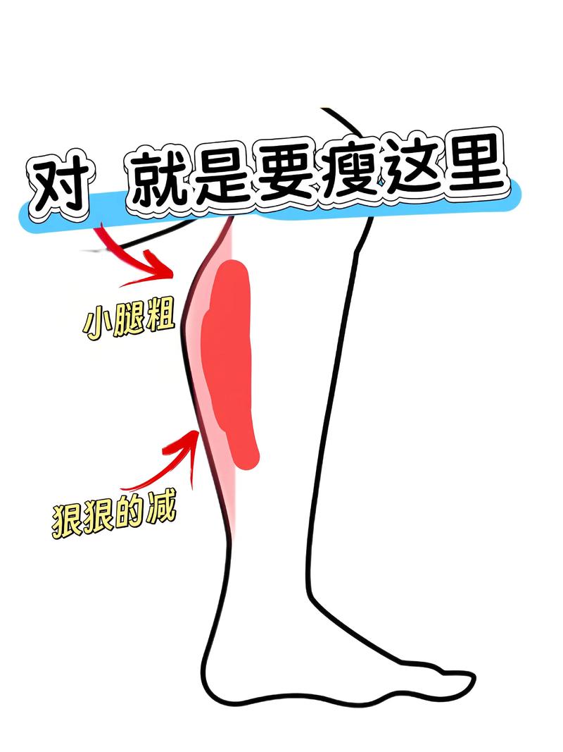 怎样让小腿变粗简单方法图标