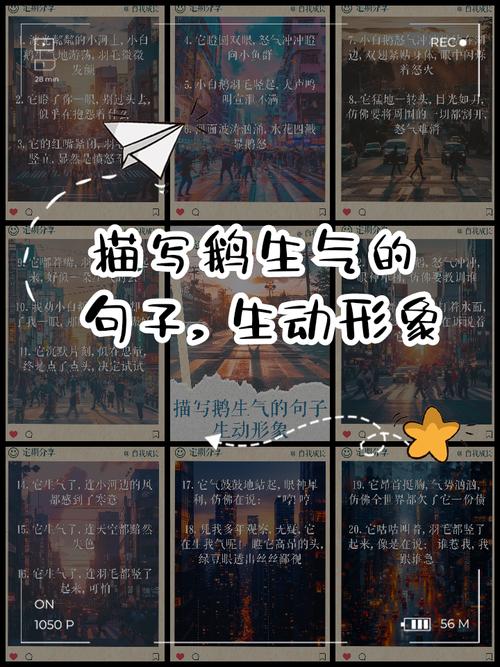 大鹅网络暗语代表什么图标