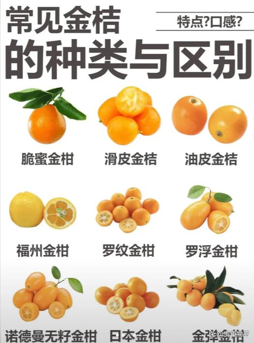四种人不宜吃金桔图标