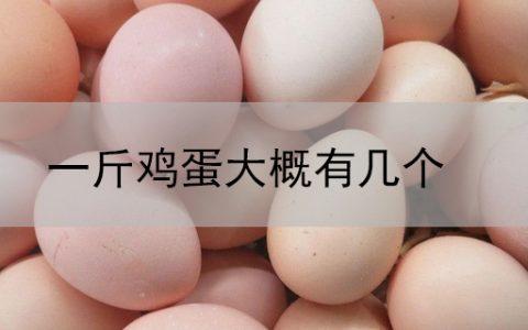 一斤鸡蛋大概多少个?截图