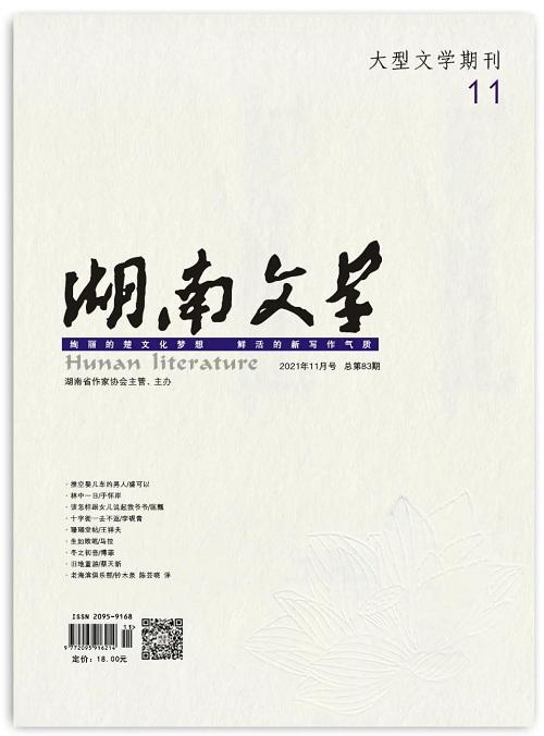 文学杂志参考网截图