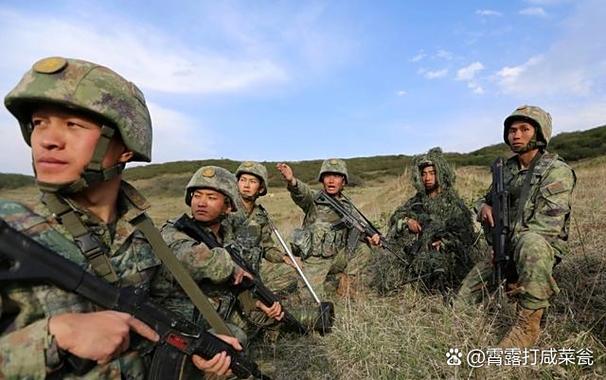 陆军图片