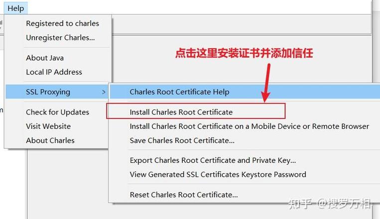 黄鸟抓包下载使用教程截图