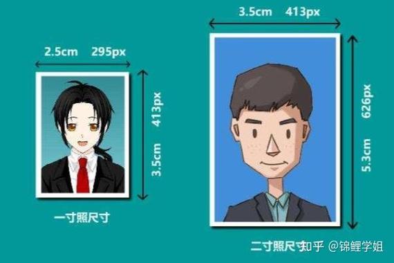 大头照与证件照的区别截图