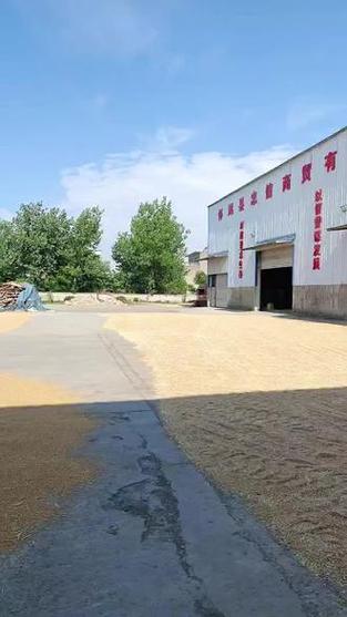 小麦回收联系电话图标