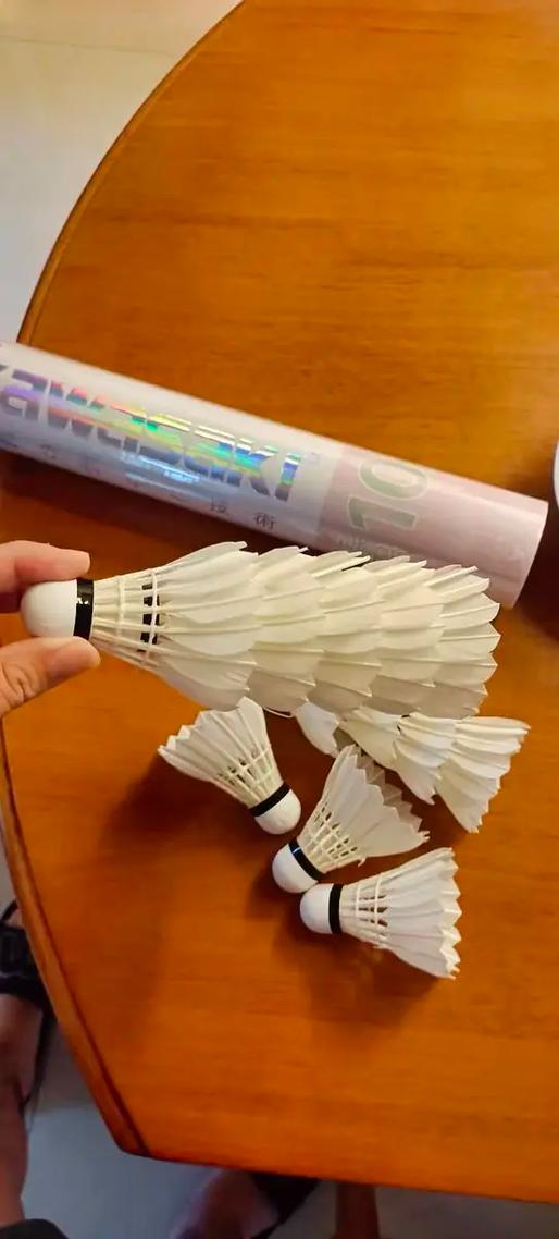 羽毛球哪个好用图标