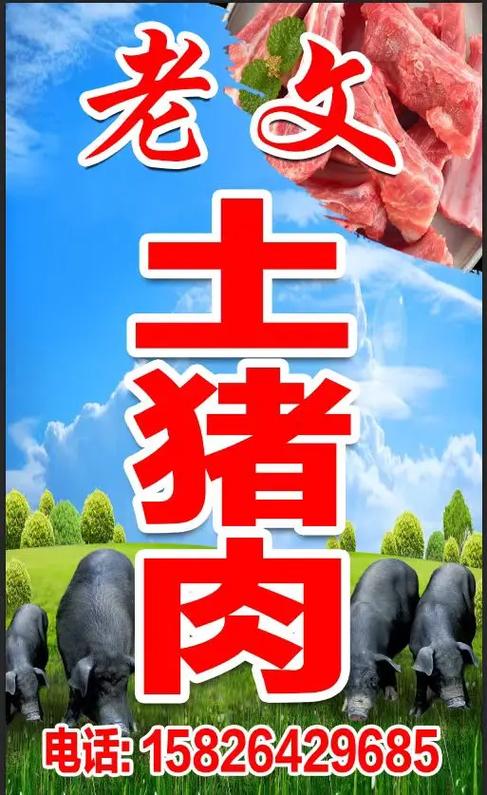 卖自家养的猪广告语图标
